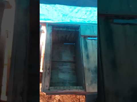 Bi arı anasız ve balı çok   bir diğer kovan ise anası var balı az bir birleştirme işlemi🐝🐝🐝🐝