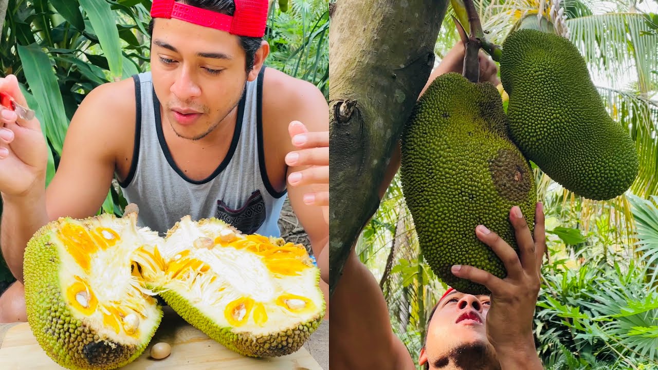 La FAMOSA fruta de los 7 SABORES YACA😱 - YouTube