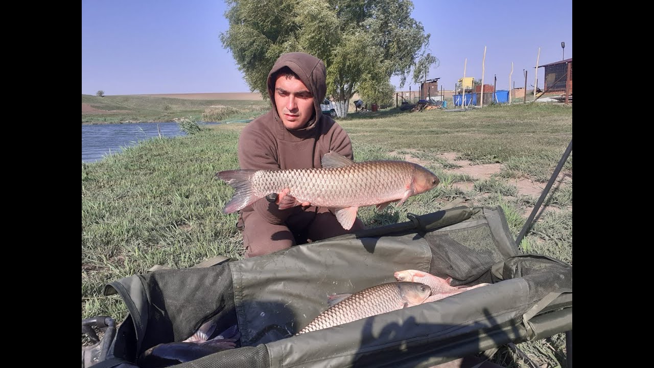 Abordare-Prezentare balta-Plus mosmoande la Danesti 6:) - YouTube