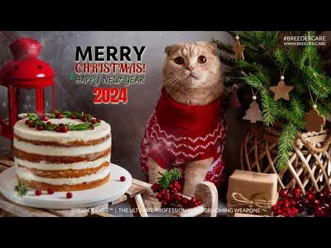 MERRY CHRISTMAS / HAPPY KWANZAA / HAPPY HANUKKAH / HAPPY NEW YEAR 2024 ...