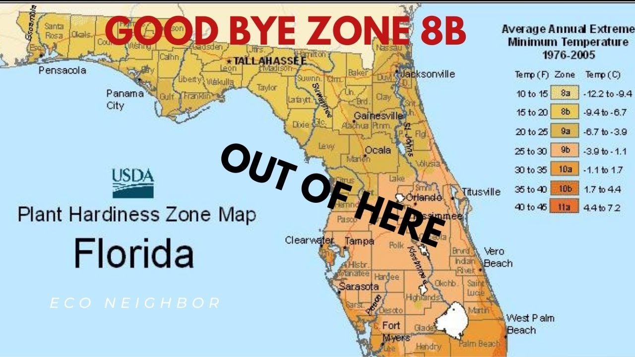 We moved! 👋 Goodbye Zone 8B and hello Zone 9A - YouTube