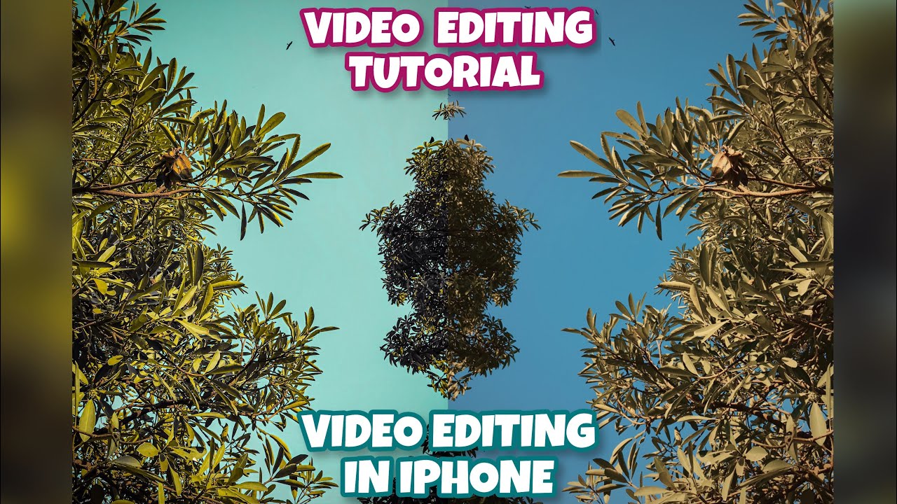 Iphone Video Editing || Short Tutorial || Filmmaking Process || Moeez ...