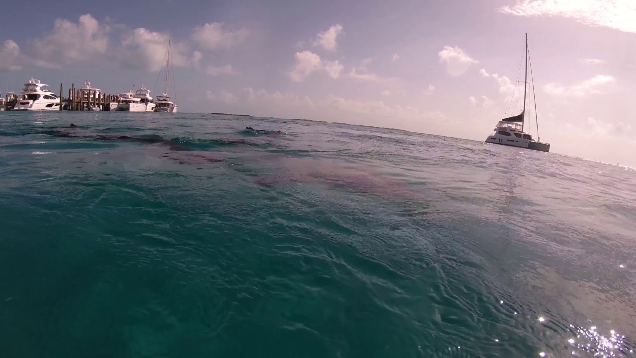 Things to do in Staniel Cay - YouTube