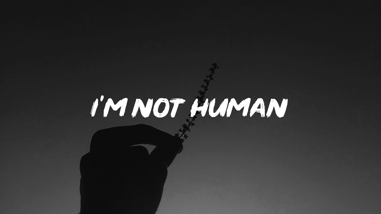 Xxxtentacion And Lil Uzi Vert Im Not Human Lyrics Youtube