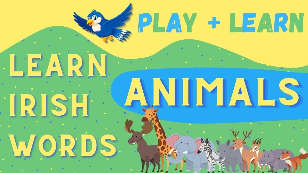 Learning Irish: Animals! - Play + Learn - YouTube