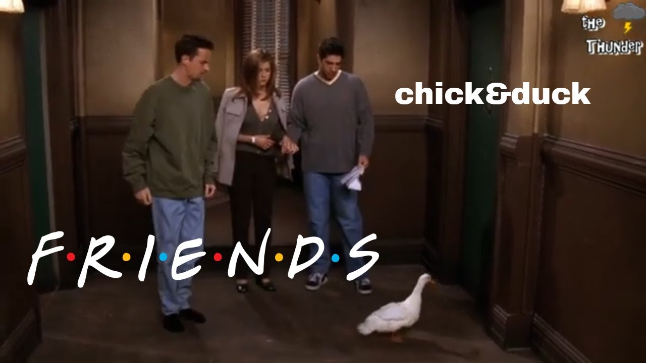 Friends | Season 3 | chick & duck (Audio quality) - YouTube
