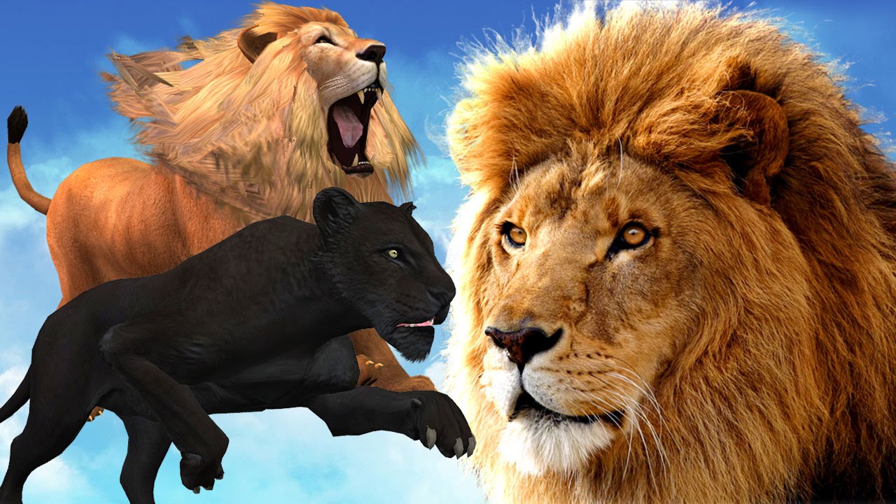 Animals Cartoons | Lion Finger Family Nursery Rhymes |Lion King Finger ...