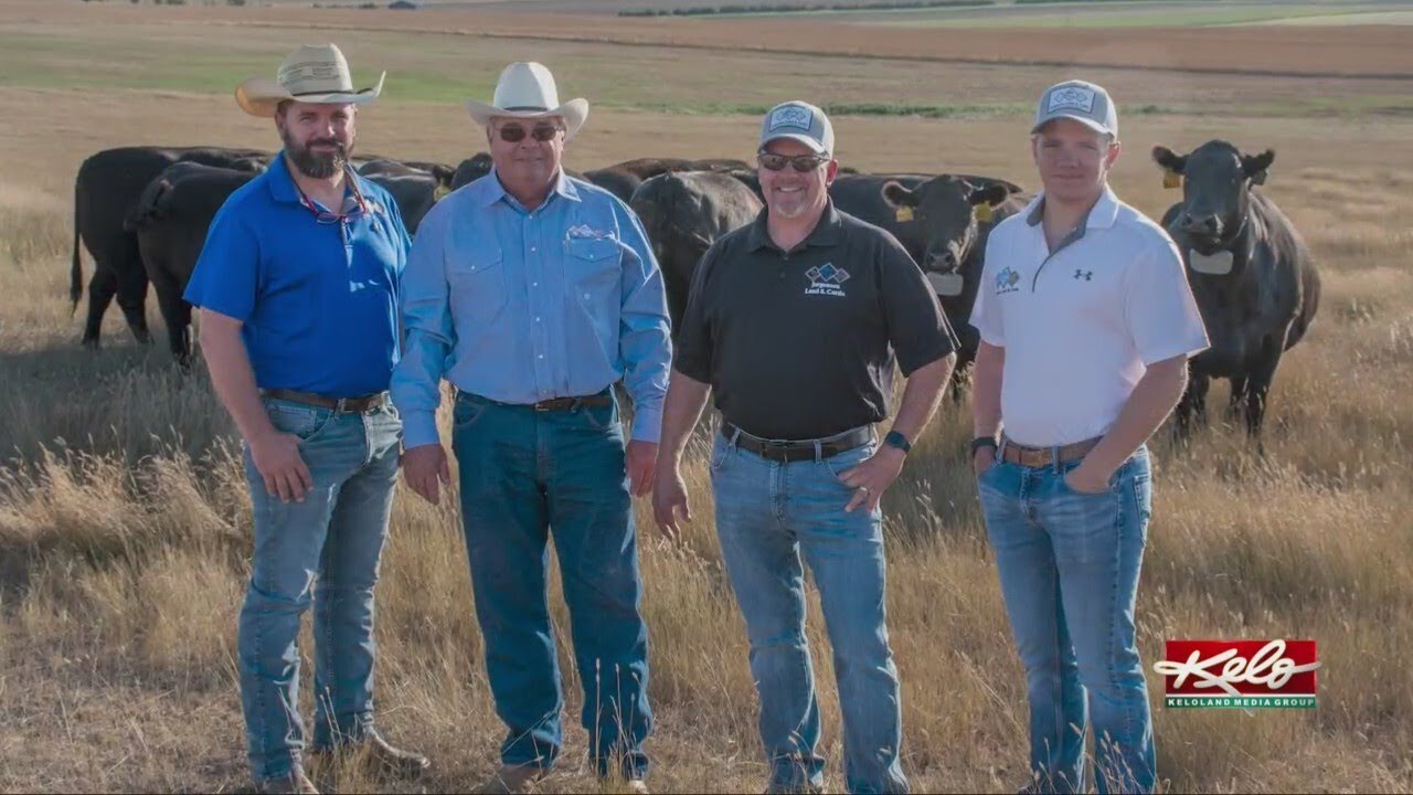 Jorgensen Land & Cattle take a swing at golf - YouTube
