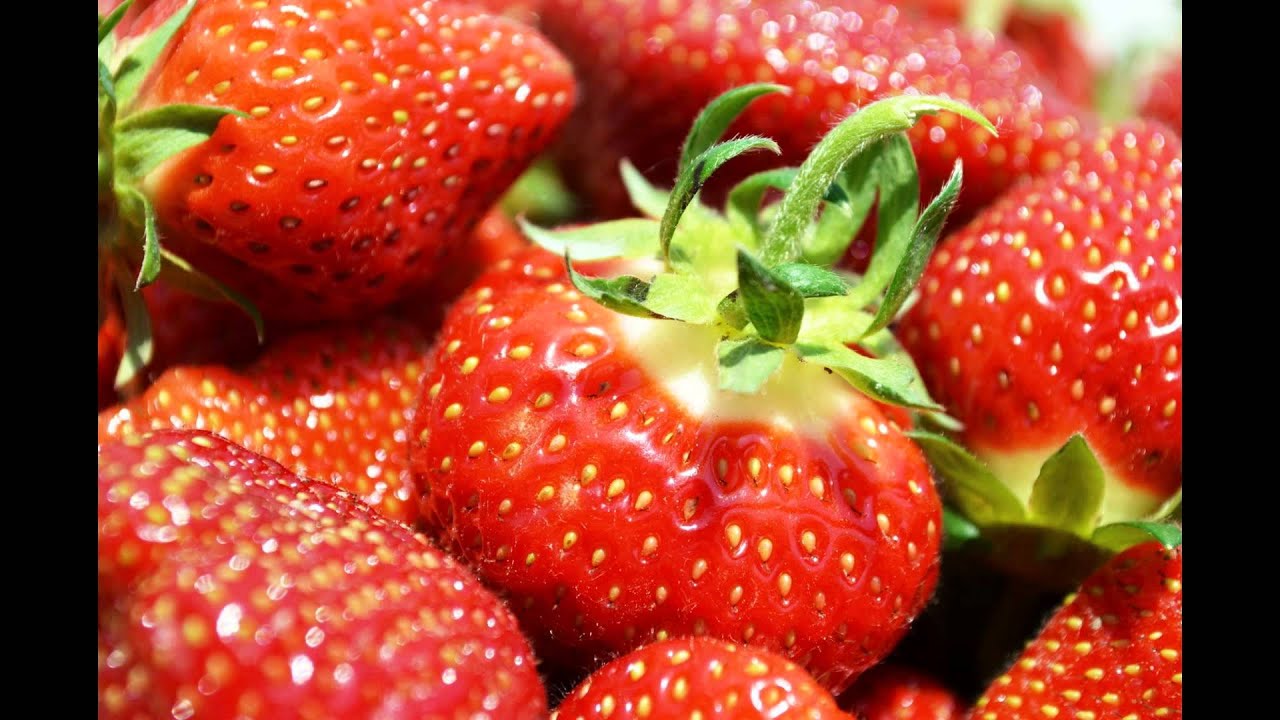 Vlog - Russian Strawberry Saturday - YouTube