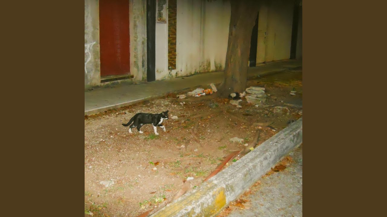 se que puedo aprender de todo lo que estoy sintiendo - YouTube