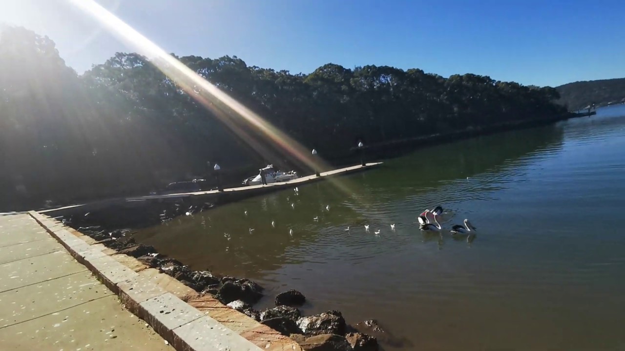 Brooklyn | Parsley Bay Boat Ramp - YouTube