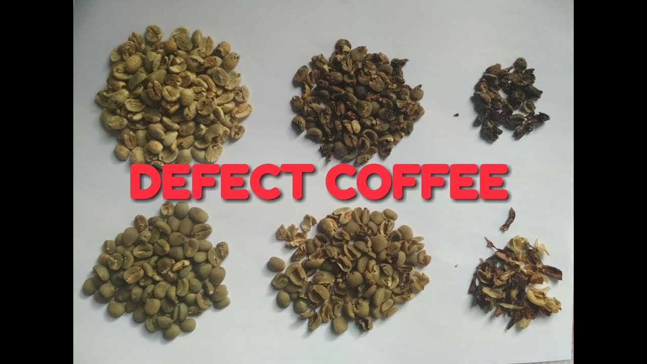 Defect Coffee - YouTube