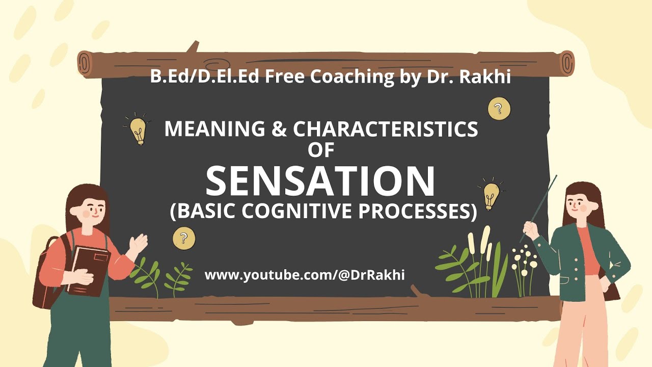 Meaning & Characteristics of Sensation (Basic Cognitive Processes ...