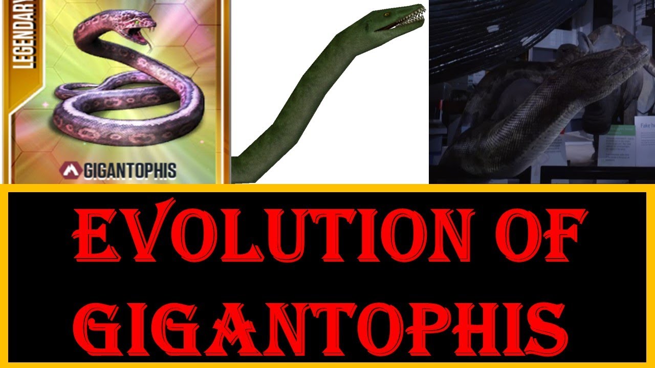 the evolution of gigantophis - YouTube