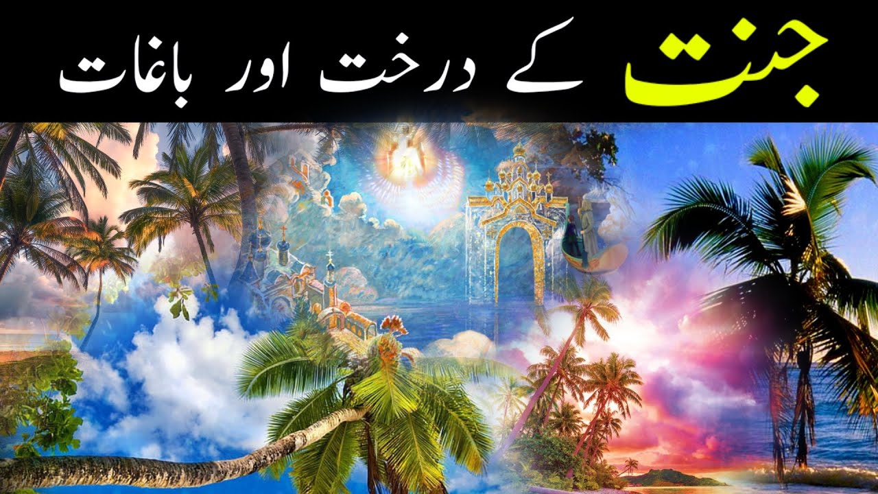 Jannat ky darakht aur baghat | paradise explained in Urdu Hindi | islam ...