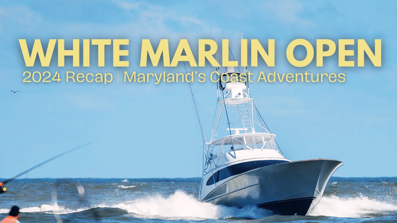 White Marlin Open 2024 Highlights | Ocean City’s Biggest Fishing ...
