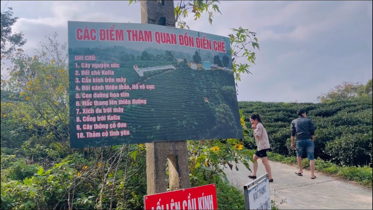 Kolia Organic Farm Cao Bằng - Không khí trong lành - mát mẻ. - YouTube