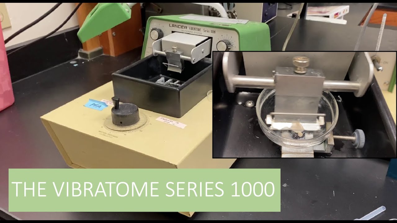 LAB TOUR: Brain Slicing Vibratome 1000 - YouTube