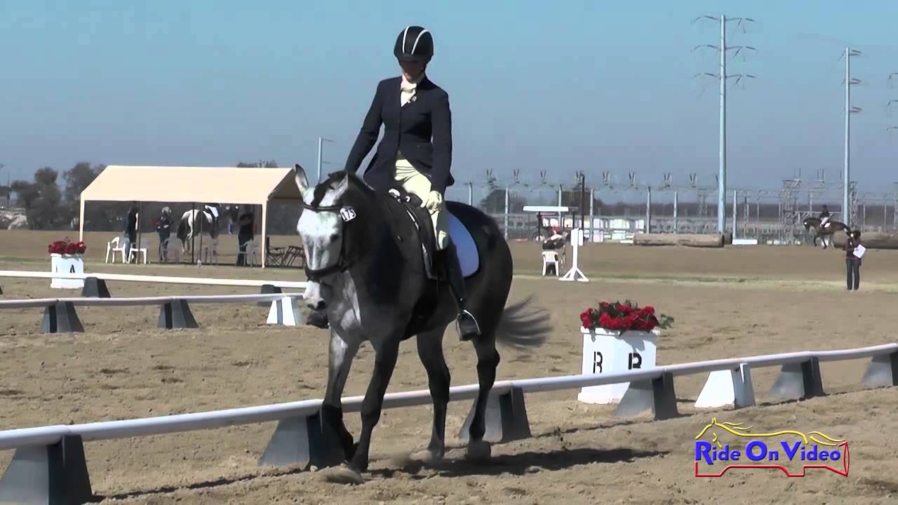 175D Bec Braitling on Cerne Abbas Open Training Dressage FCHP February ...