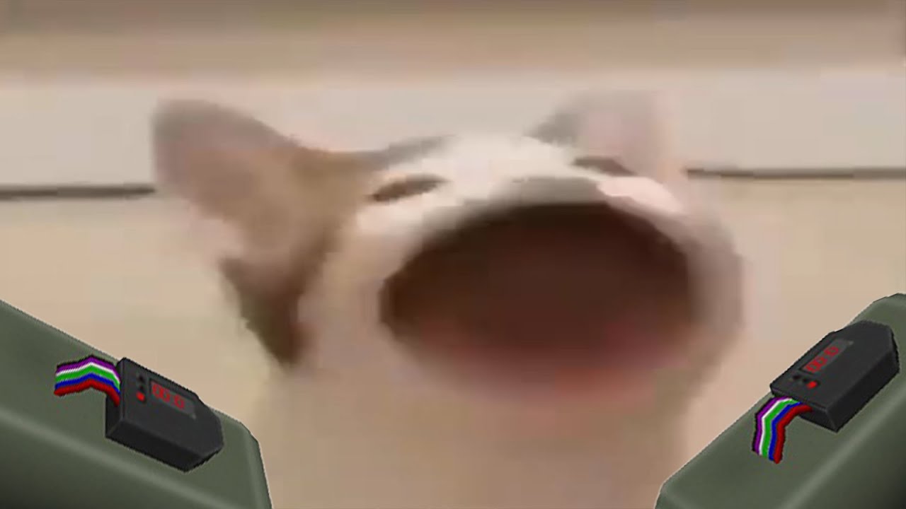 Pop Cat x C4 Counter-Strike - YouTube