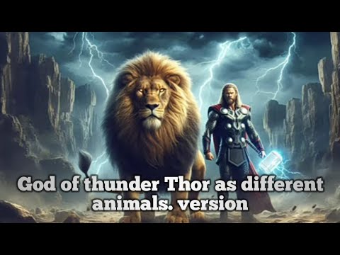 God of thunder Thor as different animals. version #marvel #thunder # ...