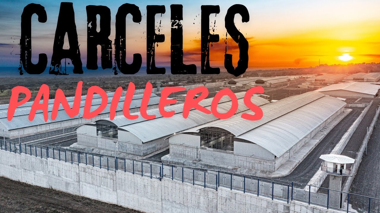 Pandilleros | La Mega Cárcel De Bukele CECOT - YouTube