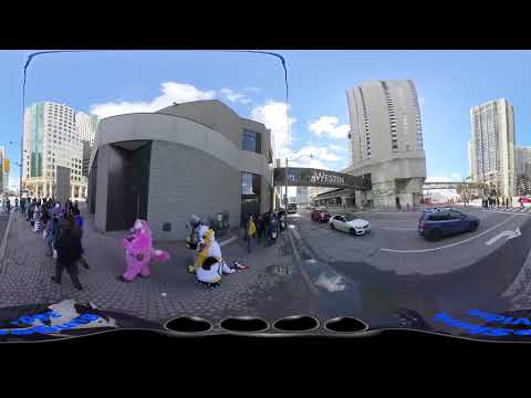 Furry 360 FE 2019 Tour De Fur Fursuit Walk - YouTube