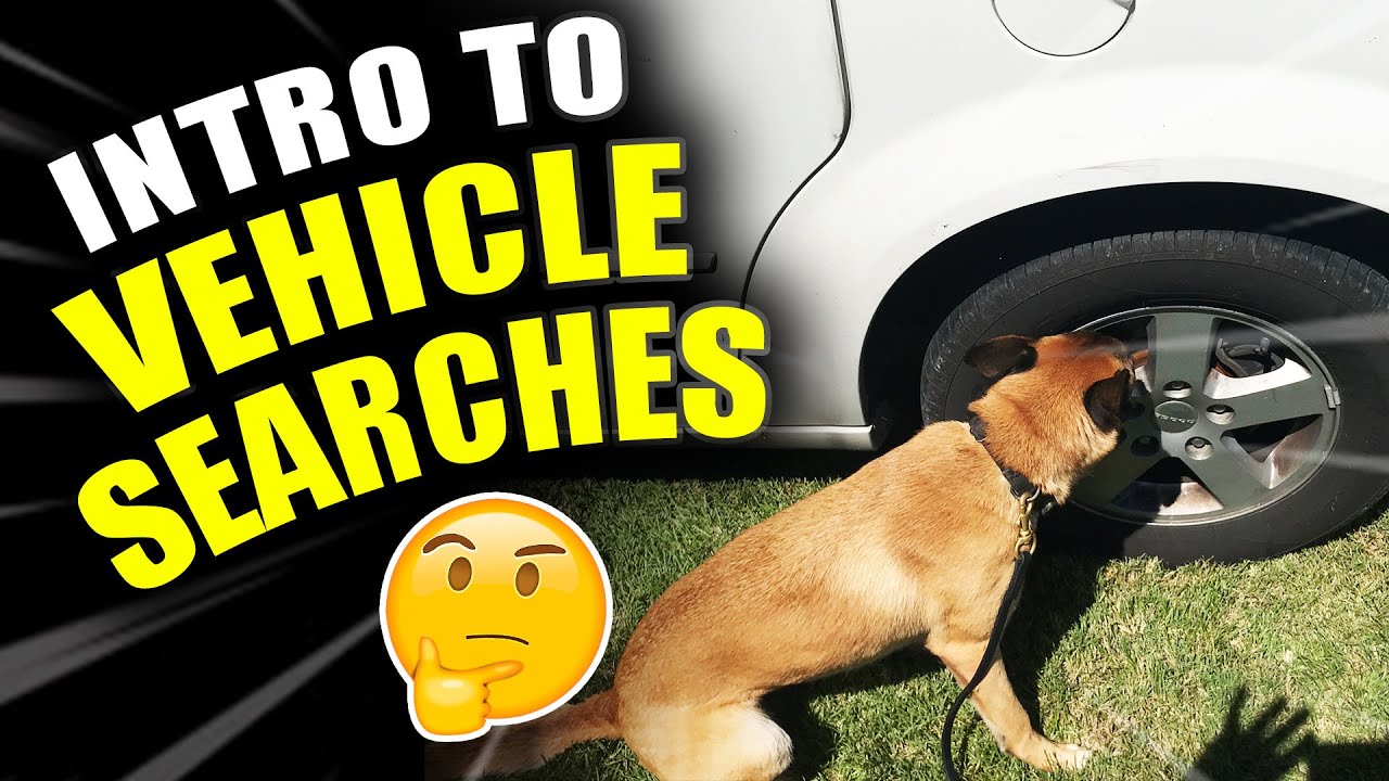 Intro to Vehicle Searches - YouTube