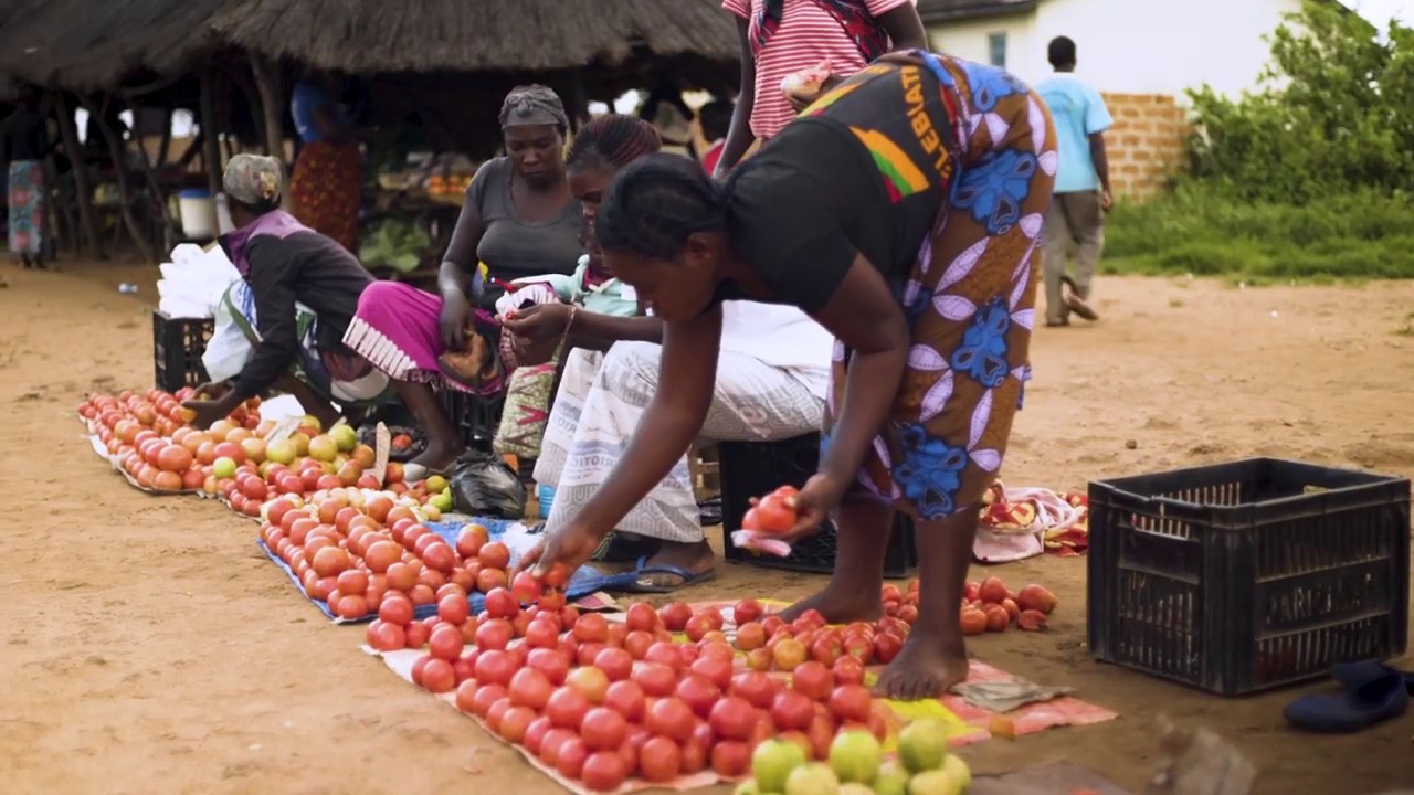 Reaching more rural people in Africa with innovative services - YouTube