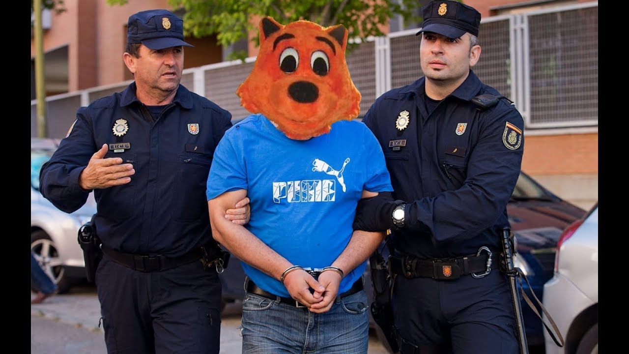 Cool Cat Goes into Witness Protection - YouTube