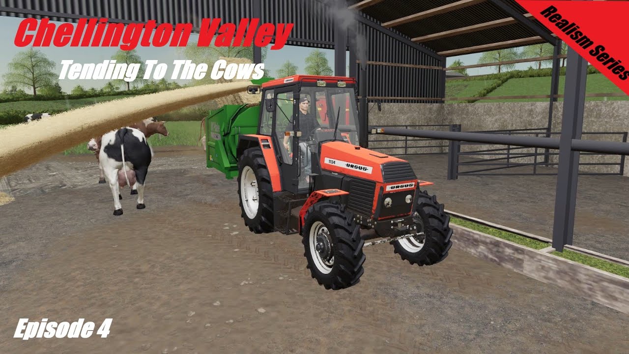 Tending to The Cows | Chellington Valley | Realism Series | Episode 4 ...