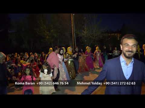 KOMA BARAN KUMNEXŞAN AŞİRETİ İNCE AİLESİ CEYLANPINAR DÜĞÜNÜ   PART 5