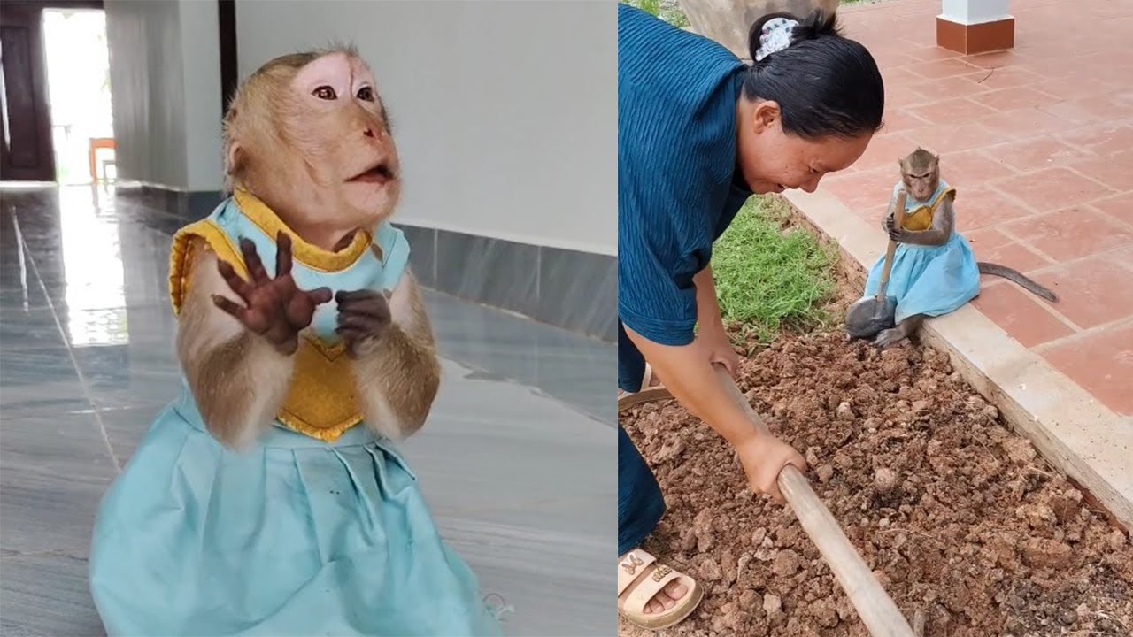 Full Love 😍 Of Shally Follows To See Mom Working - YouTube