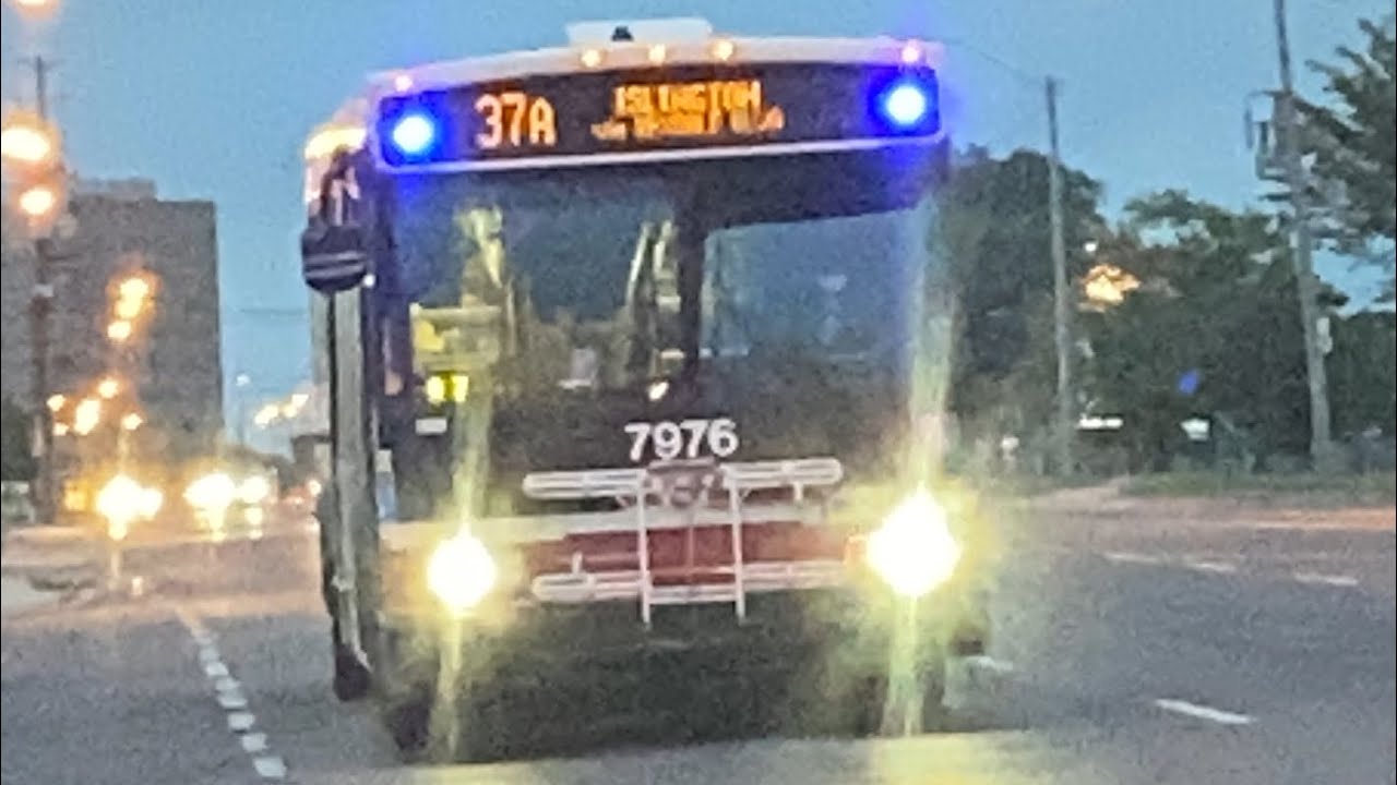 TTC 3 Buses on Queensway division - YouTube