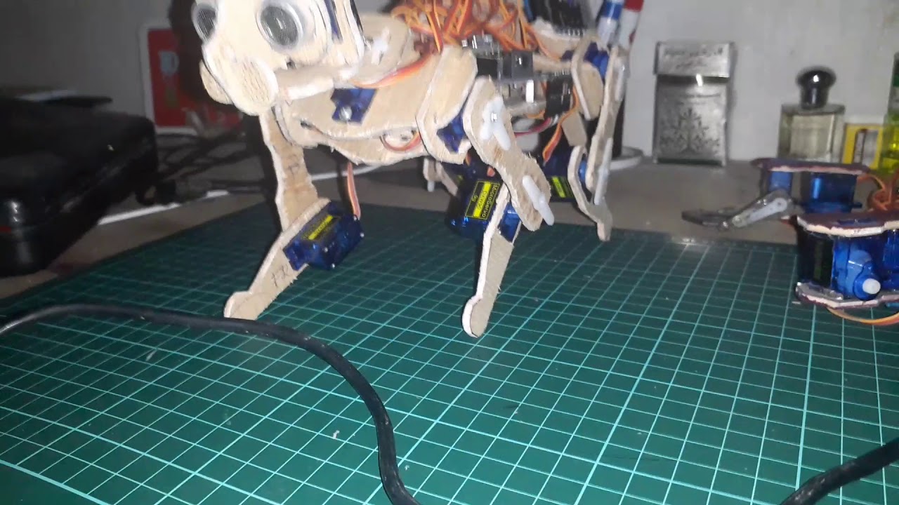 Robot Kucing - YouTube