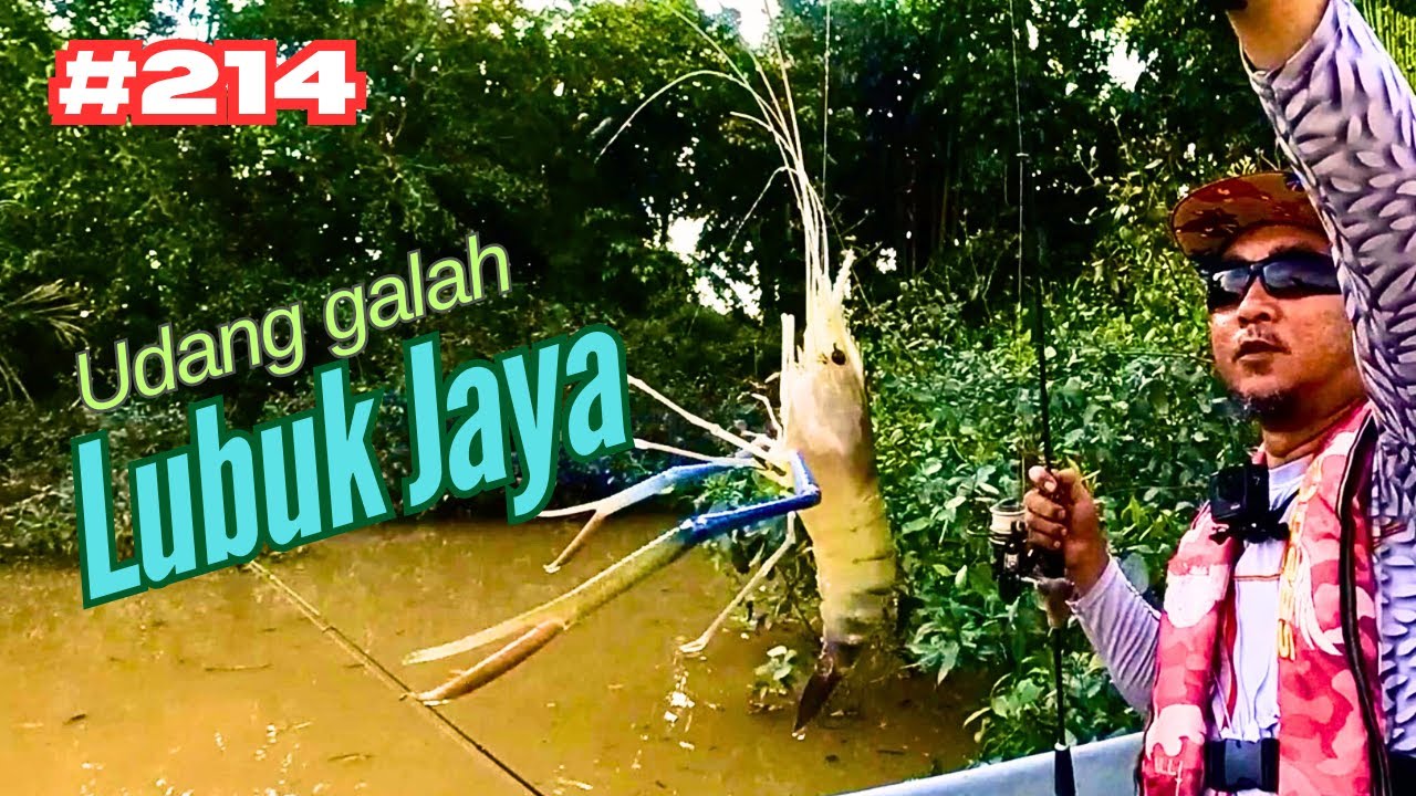 Panduan Memancing Udang Galah - YouTube