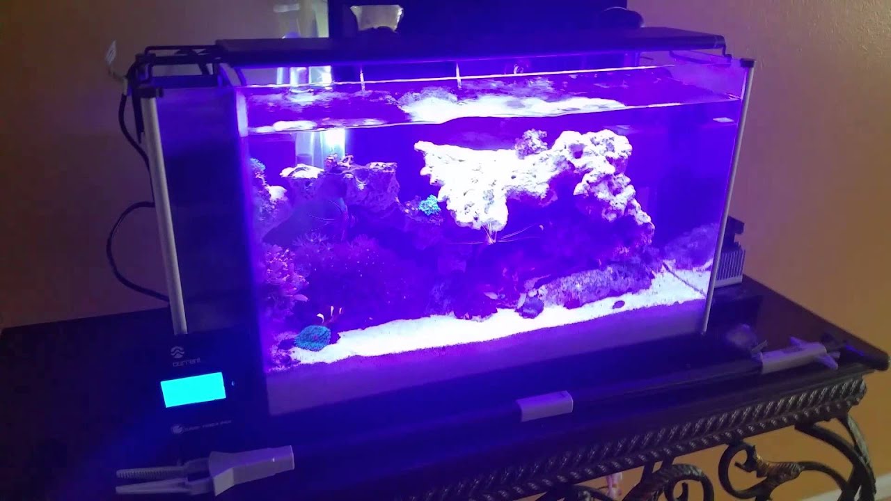 Fluval spec v reef - YouTube