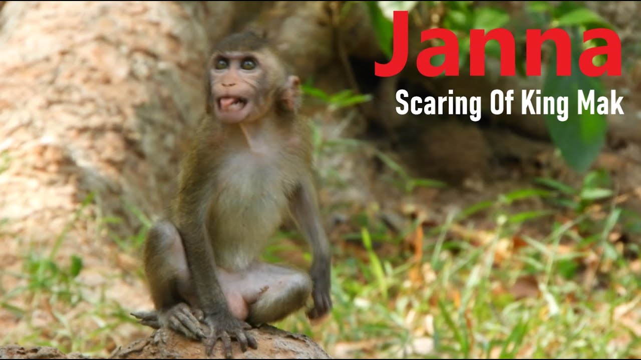 Janna is So Scare of Every Time King Mak Comes Close to Her But King ...