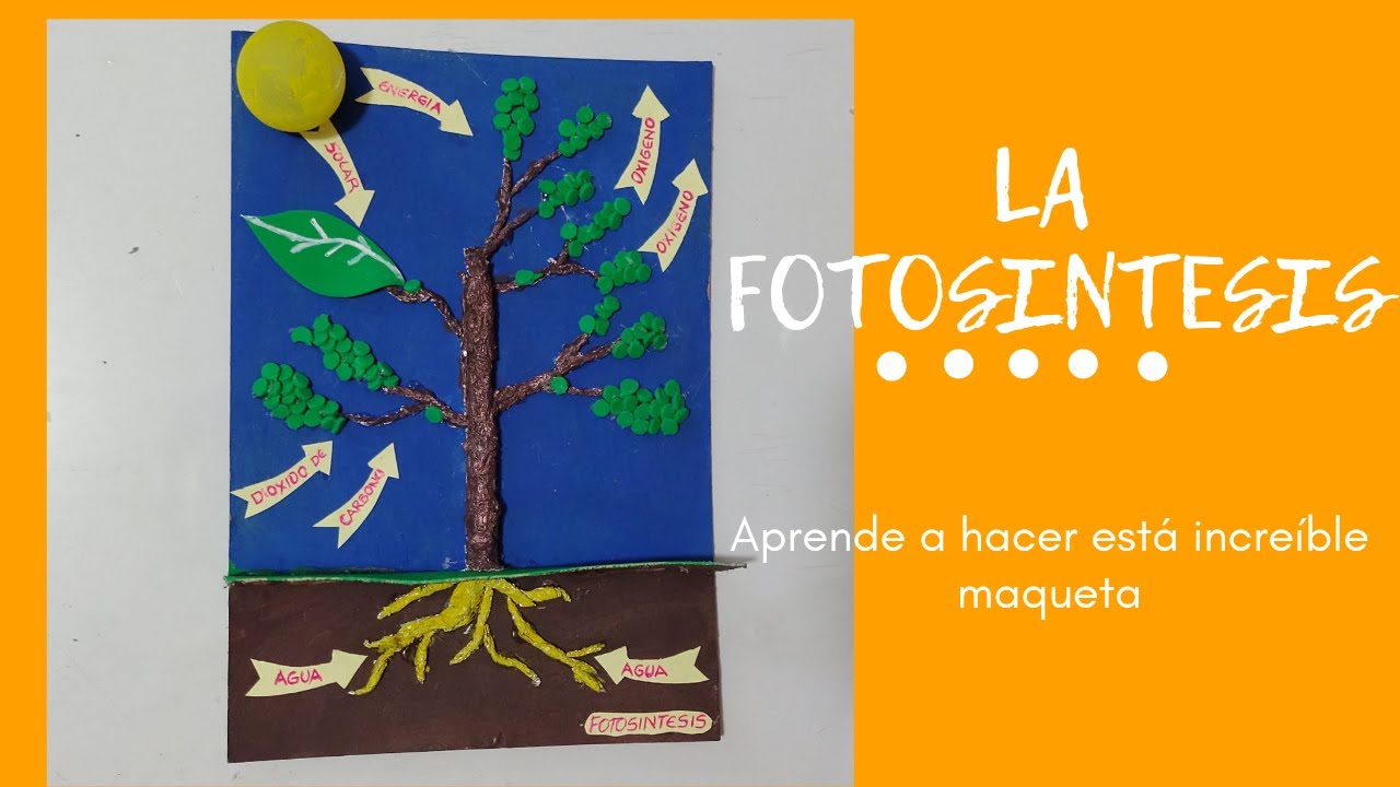 LA FOTOSINTESIS como hacer una maqueta con materiales reciclados - YouTube