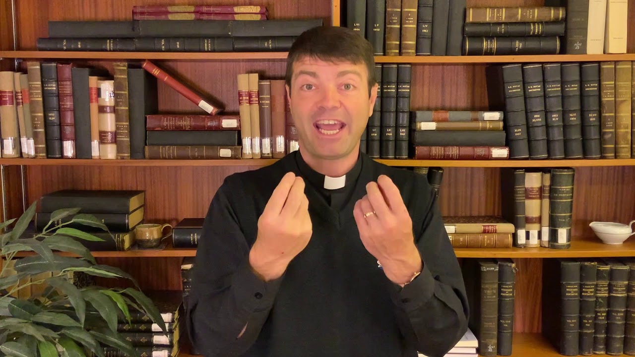 Daily reflection with Fr. Seamus Hogan - Tuesday, November 3, 2020 ...