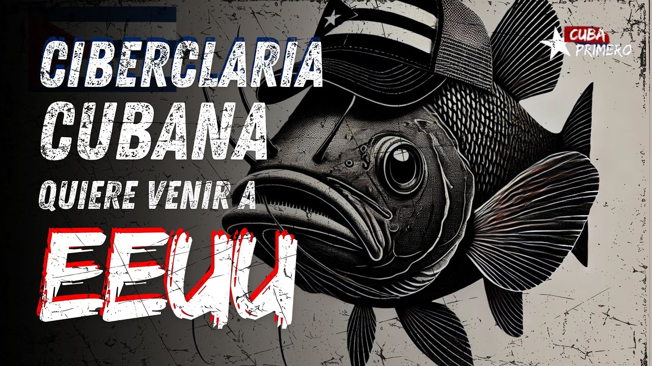 Ciberclaria del Régimen Recibe Remesas y Sueña con EE.UU.: La Doble ...