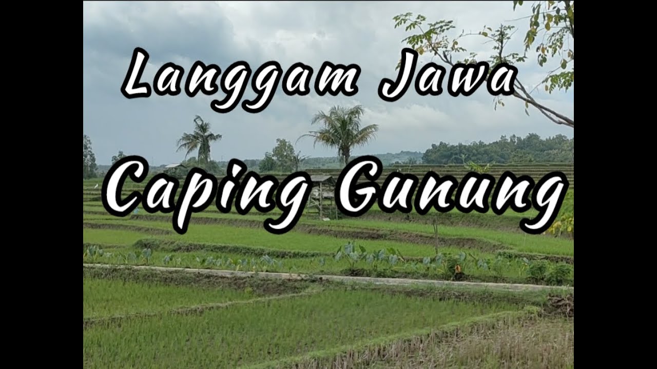 Caping Gunung - langgam Jawa - YouTube