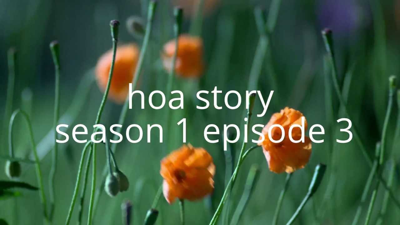 hoa story season 1 episode 3 - YouTube