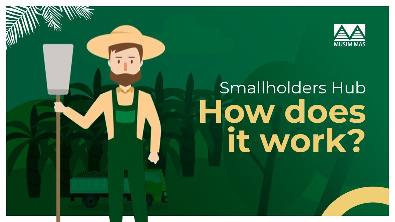 Smallholders Hub: How does it work? - YouTube