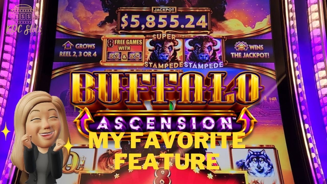 Have You Hit This Feature On Buffalo Ascension? I LOVE IT!! - YouTube