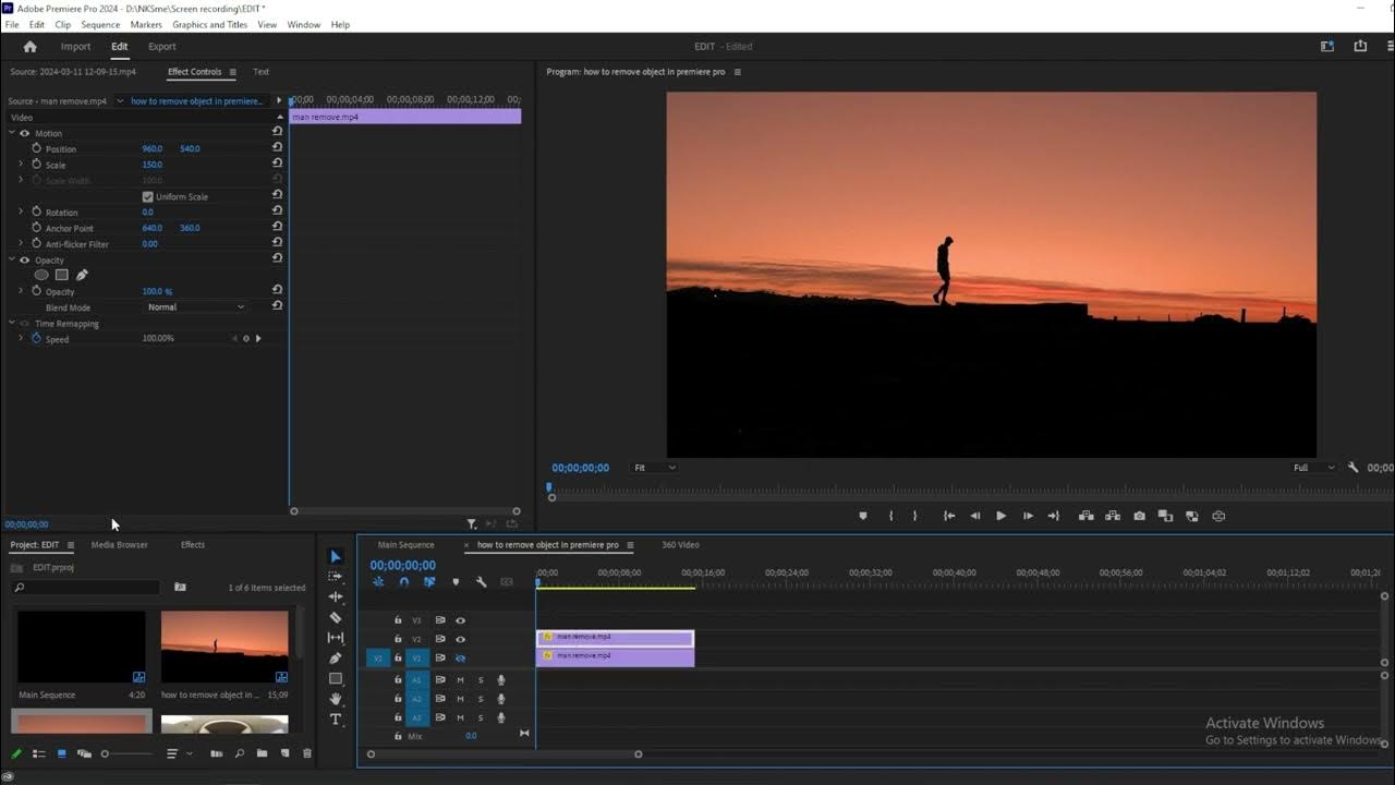 how to remove object in premiere pro - YouTube