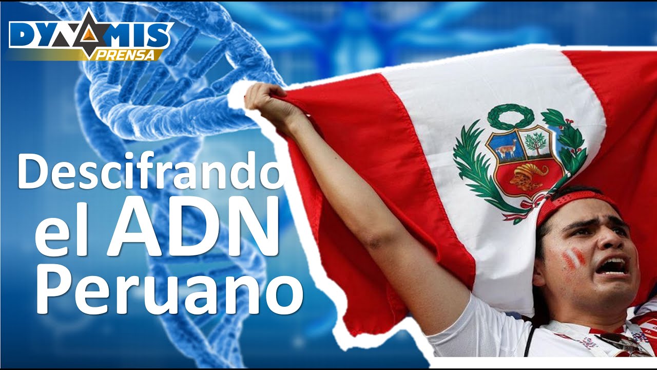 DESCIFRANDO EL ADN PERUANO, ESTUDIO DE LA DIVERSIDAD GENÉTICA EN EL ...