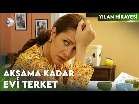 Memoli Zeyno'yu Evden Kovdu! - Yılan Hikayesi