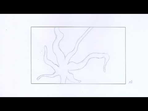 Flowerzilla Storyboard - YouTube