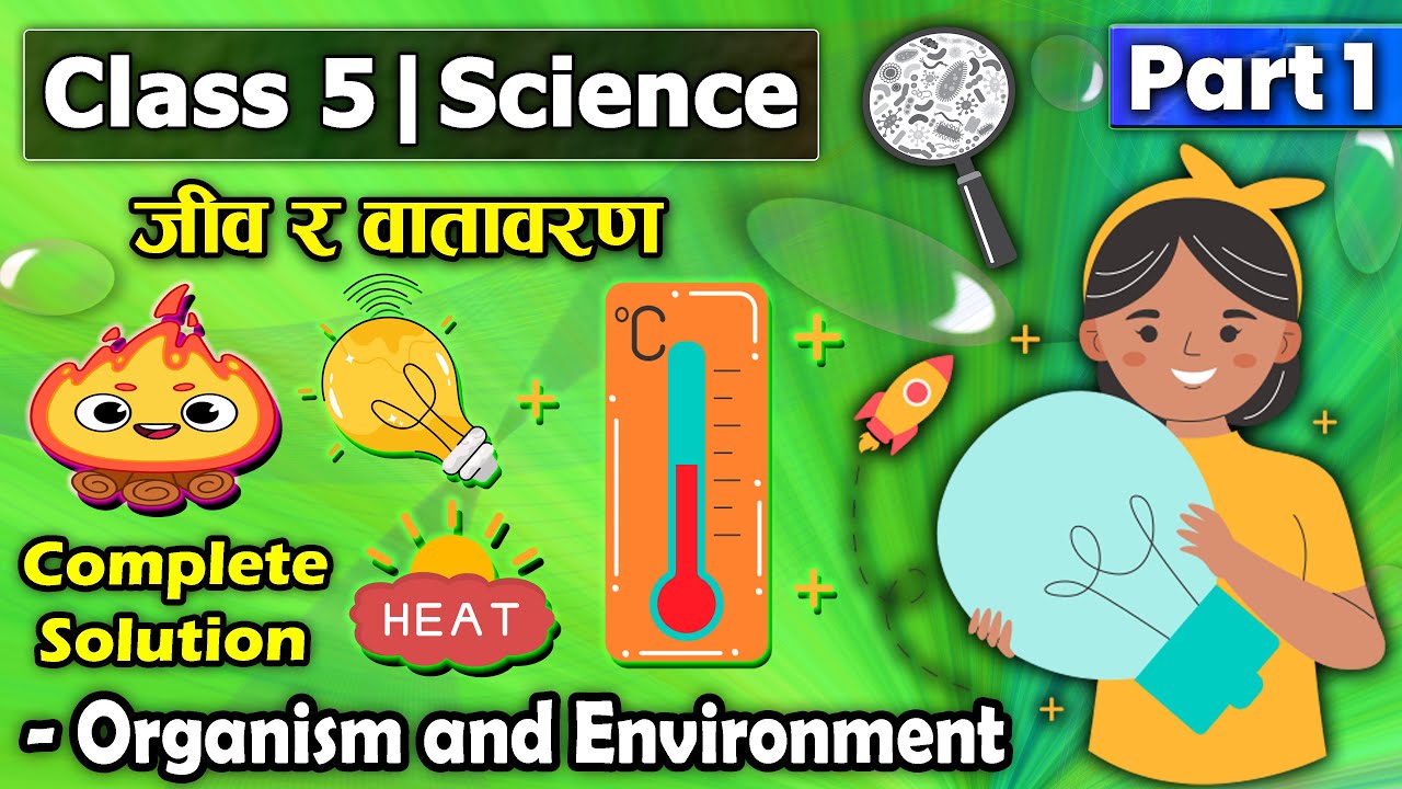 Organism and Environment (Part 1) || Class 5 Science chapter 3 || Class ...